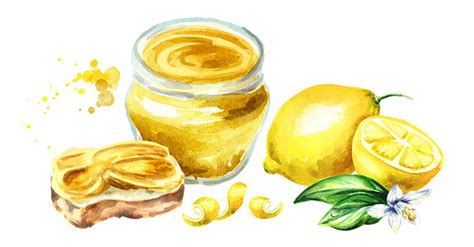 유기농 과일 잼 레몬 마멀레이드와 샌드위치 흰색 배경에 고립의 유리 항아리 수채화 손으로 그린 그림 감귤류 과일에 대한 스톡 벡터 아트 및 기타 이미지 Istock