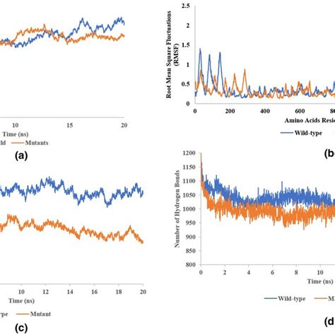 Bioinformatics Analysis Of Novel Mutation Nm 024513 3 Download