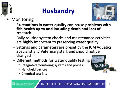 Slide 7