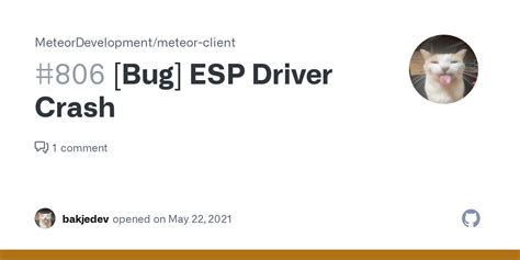 Bug ESP Driver Crash Issue 806 MeteorDevelopment Meteor Client