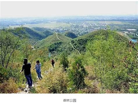 来静之湖森林公园登山让我们一起去征服光明顶吧