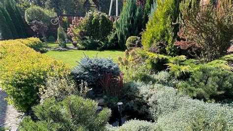 Мой садик в октябре Спирея японская любимый массив Гортензии Просто прогулка Youtube