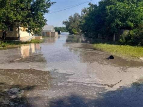 «Хімікати пестициди вигрібні ями — все це надійде в море еколог оцінив збитки для Чорного