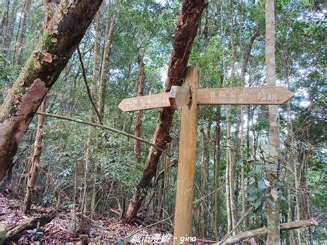台中和平在虐腳的陡上中持續前進 谷關七雄 八仙山主峰步道 健行筆記