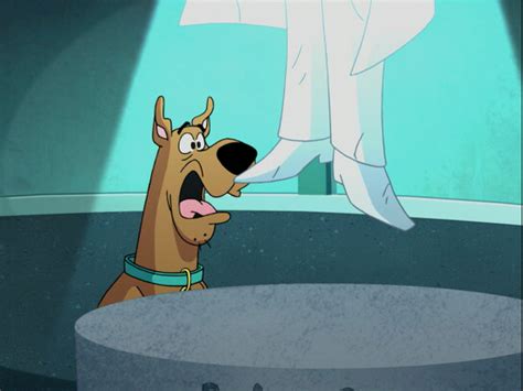 Whats New Scooby Doo Riva Ras Ragas