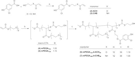 Scheme 1 One Pot Raft Synthesis Of Amphiphilic Mpega 12a B Ach 36 And Download Scientific