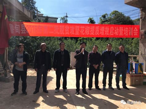 助推全县脱贫攻坚鲁甸加大林产业提质增效发展力度 花椒