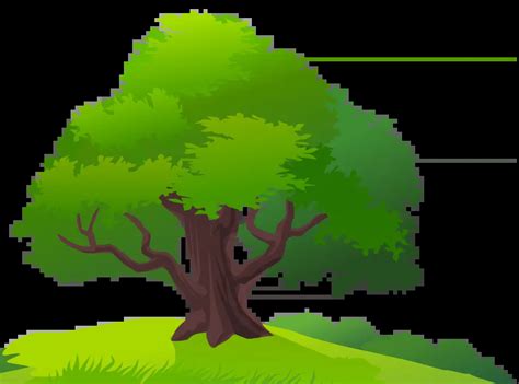 Дерево Рисунок 63 Фото