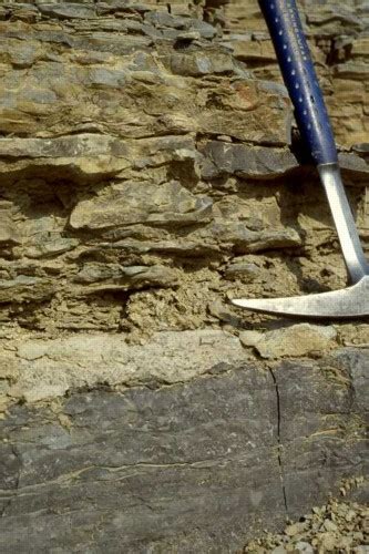 An Online Guide To Sequence Stratigraphy