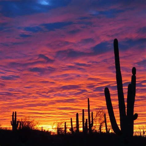 Arizona Sunsets Arizona Sunset Sunset Scenery