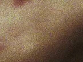 The Devil S Rejects Nude Scenes Aznude