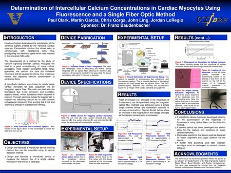 Determination Of Intercellular Calcium Concentrations In Cardiac Myocytes Using Fluorescence And
