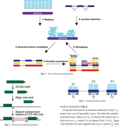 Figure From A Method For Isoform Prediction From RNA Seq Data By Iterative Mapping IPSJ