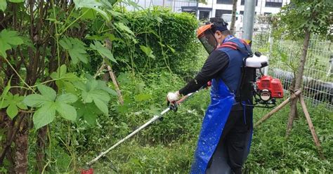 예초작업 아이엠클린 숨고 숨은고수