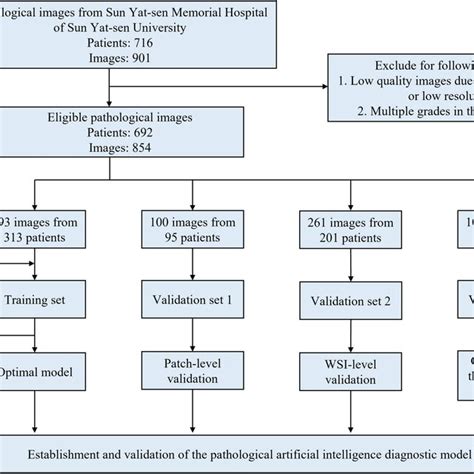 Diagram For The Development And Validation Of The Pathological Download Scientific Diagram
