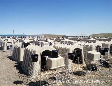 厂家供应犊牛栏 带围栏犊牛岛 现代化养牛设备 阿里巴巴