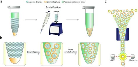 Bulk Dispersal Of Microfluidic Droplets Into Aqueous Carrier With Download Scientific Diagram