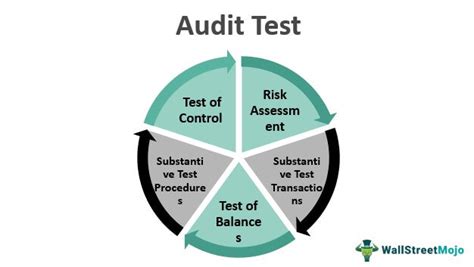 Audit Test What They Are Vs Substantive Audit Procedure