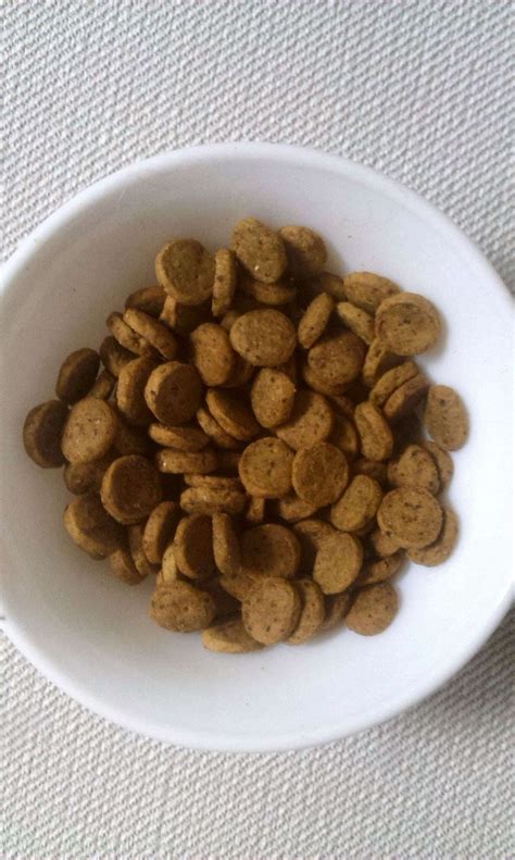 Корм для кошек Brit Veterinary Diet: отзывы, разбор состава - ПетОбзор