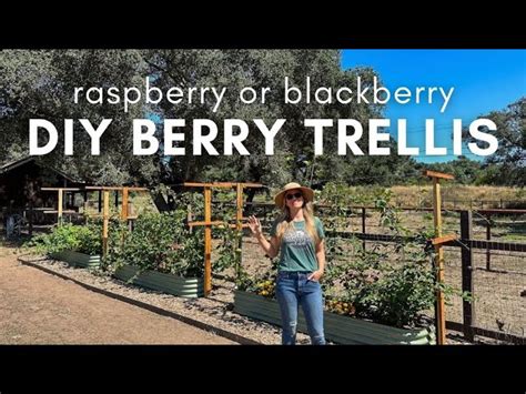 Raspberry Trellis Design Plans