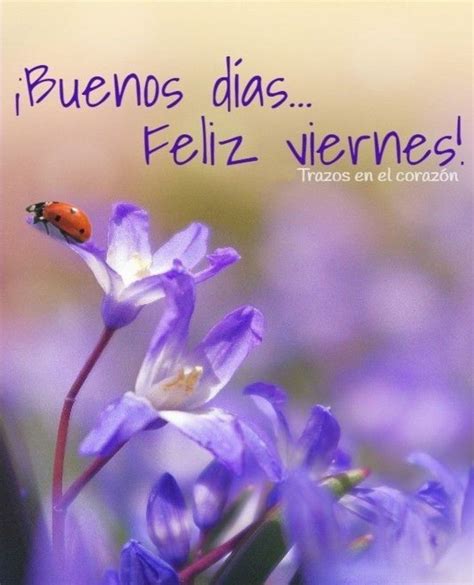 Pin De Kare Mendoza En Saludos Imagenes De Feliz Viernes Feliz
