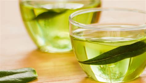 Teh Daun Jambu Biji Rahasia Kesehatan Yang Tersembunyi