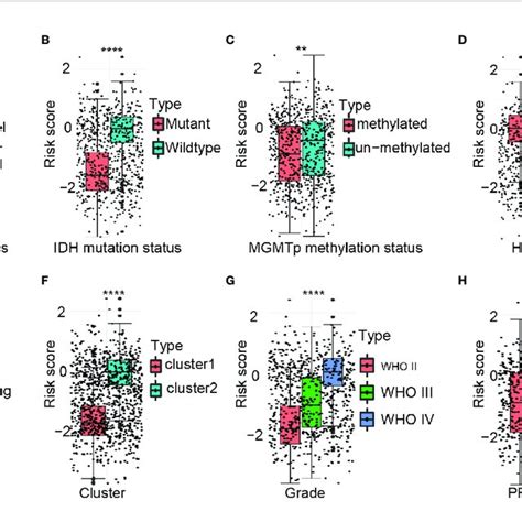 identification of gliomas subclasses using nmf consensus clustering