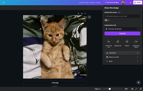 Did You Know Canva Works As A Quick Image File Converter Here S How