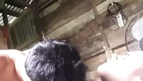 Sex With Thai Daddy Xhamster