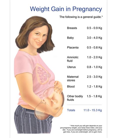 Weight Gain In Pregnancy Chart Birth International