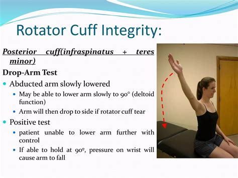 Shoulder Examination Ppt PPTX