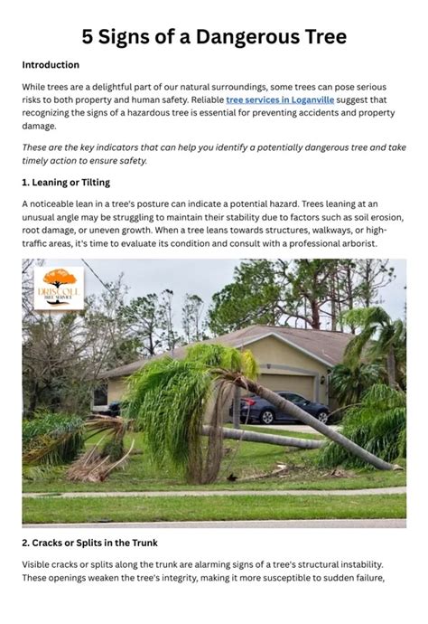 PPT Signs Of A Dangerous Tree PowerPoint Presentation Free Download ID