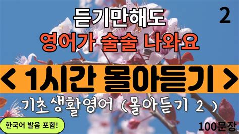 한시간몰아듣기 2 흘려듣기 꾸준함이 영어실력을 만들어요 영어듣기 영어반복 영어공부 영어회화 영어회화기초 기초생활영어 영어반복재생 영어문장모음 영어모음 Youtube