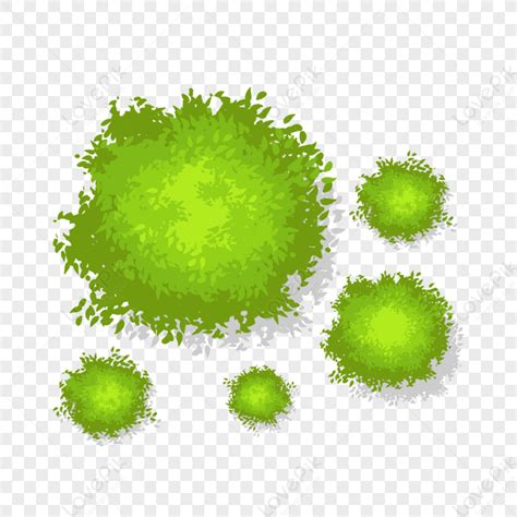 Деревья сверху пнг чертеж