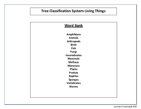 Tree Classification System Living Things By Journeys In Learning