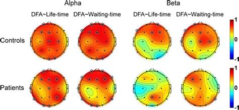 The Topographies Of Correlation Coefficients Between The Dfa Exponent