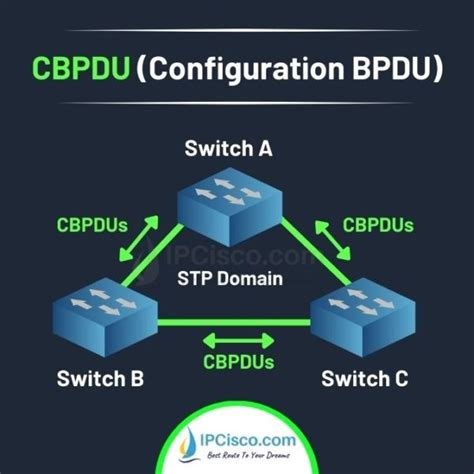 Bpdu Bridge Data Unit Protocol ⋆ Configuration And Tcn Bpdu