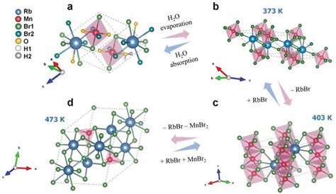 Schematic Diagram Of Reversible Structural Transition A D The Download Scientific Diagram