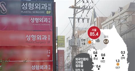 의료관광도 지방소멸··· 외국인환자 비중 수도권 91 6 지방 8 4 [의료관광 2조 시대]