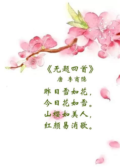 十二首春花古詩詞，領略春天的繁花似錦 每日頭條