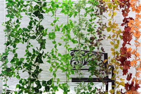 Искусственная лиана декоративная Epimedium Di Fiori ™ Москва — купить в розницу и оптом