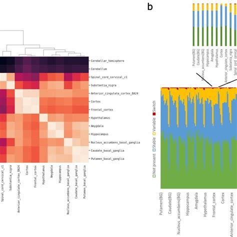 Landscape Of Alternative Splicing Variation Across Human Brain Regions Download Scientific