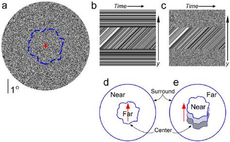 Stimuli And Percepts A A Single Frame Of A Typical Motion Stimulus
