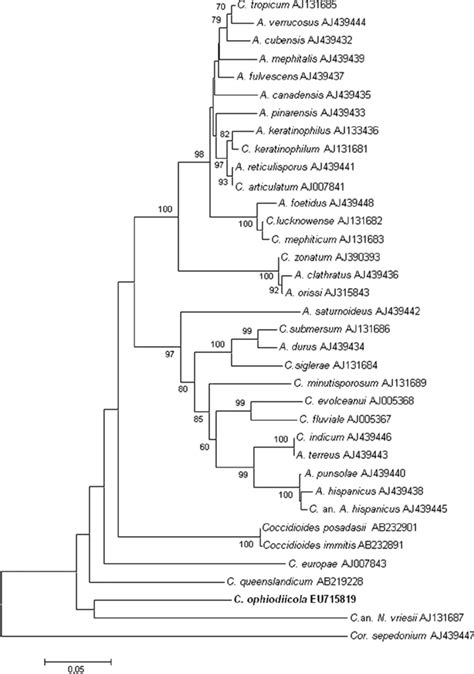 neighbor joining tree based on kimura two parameter corrected