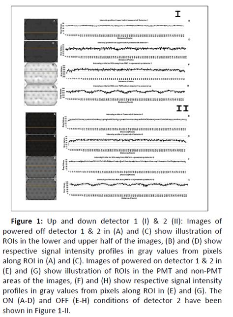 Assessment Of Intrinsic And Extrinsic Uniformity For Dual 40 Off