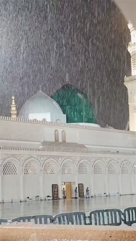 Tanzeem Alam Tanzeem6300 • Instagram Photos And Videos