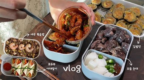 Vlog 아침 6시 조신하게 도시락 만들고 밤 10시 엉덩이 흔들고 다니는 와이프 일상｜소불고기 다이어트 포두부 야채말이 버섯 솥밥 두부 조림 김밥전 마켓컬리