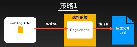 Mysql数据库写入原理 zzzzzzzk 博客园