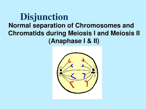 Ppt And Genetic Disorders Powerpoint Presentation Free Download Id 4678890