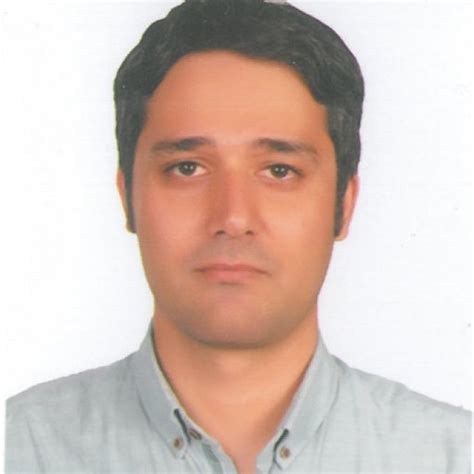 Sina Majidian Professor Assistant Doctor Of Engineering University Of Science And